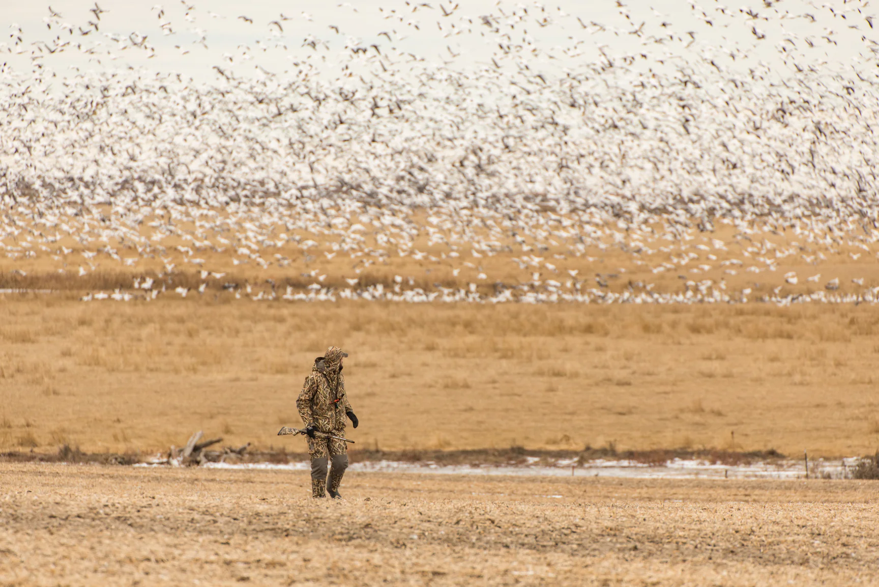 Spring Snow Goose Apparel - The Definition of High-Performance Layering ...