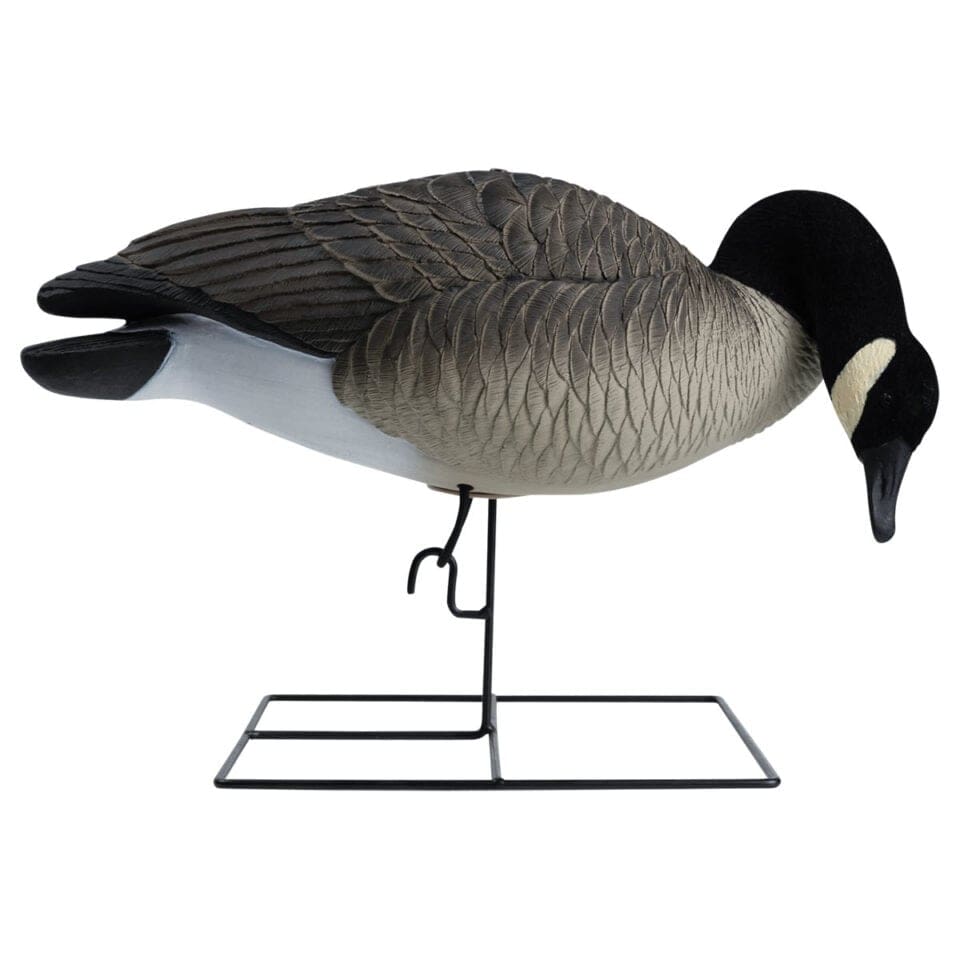 Rugged Series Full Body Canada Goose Feeder Decoys - Flocked Head ...
