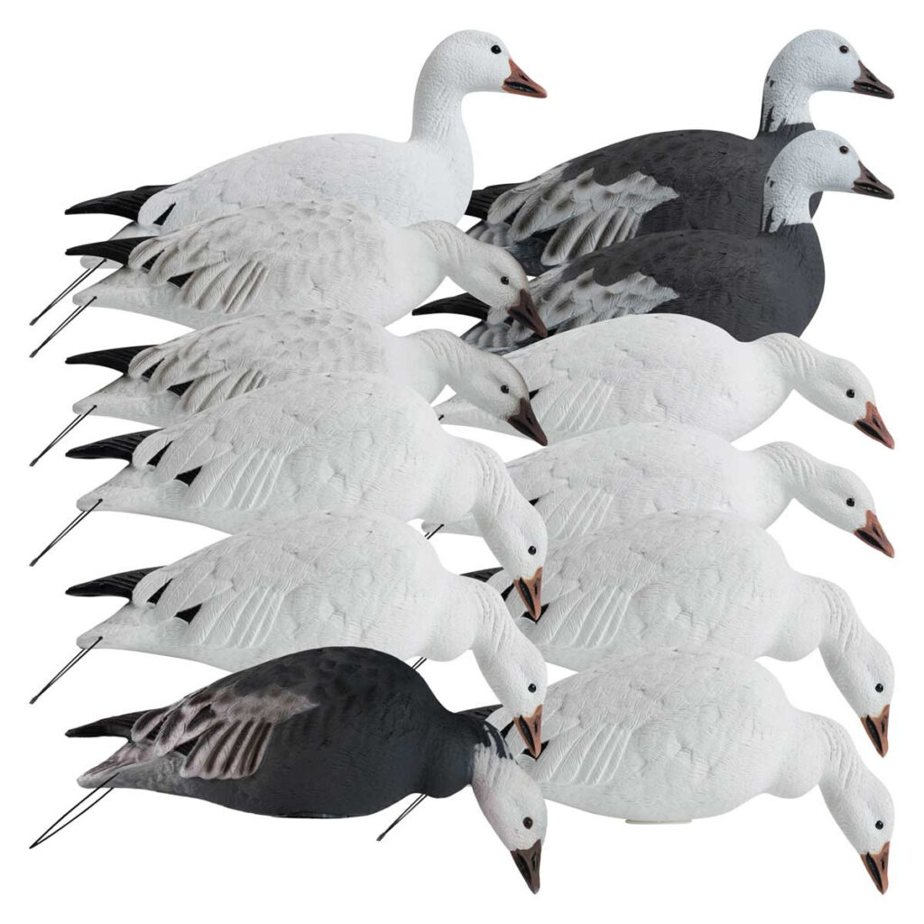 Rugged Series Full Body Snow and Blue Goose Touchdown Decoys 12-Pack ...