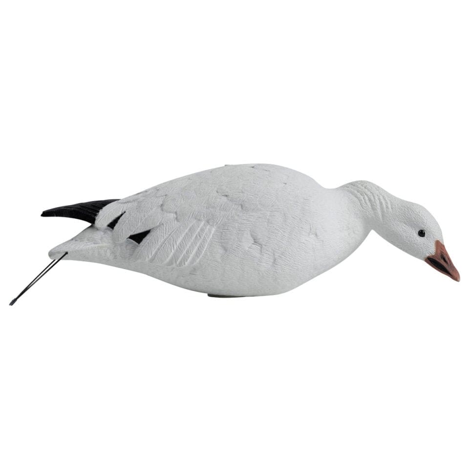 Rugged Series Full Body Snow and Blue Goose Touchdown Decoys 12-Pack ...