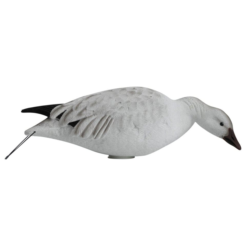 Rugged Series Full Body Snow and Blue Goose Touchdown Decoys 12-Pack ...
