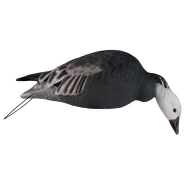 Rugged Series Full Body Snow and Blue Goose Touchdown Decoys 12-Pack ...