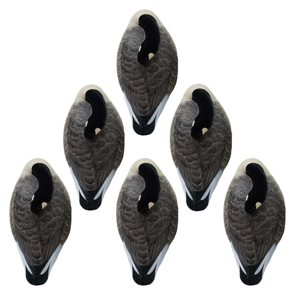 Rugged Series Canada Sleeper Shell Decoys - Flocked Head 6 Pack ...