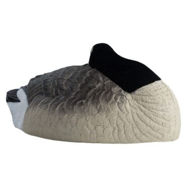 Rugged Series Canada Sleeper Shell Decoys - Flocked Head 6 Pack ...