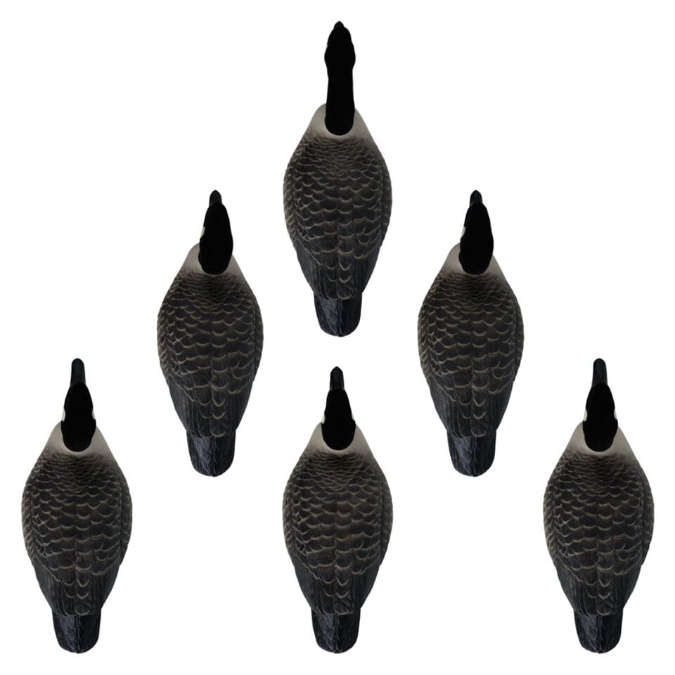 Rugged Series Canada Goose Floaters Touchdown Decoys - Flocked Head 6 ...