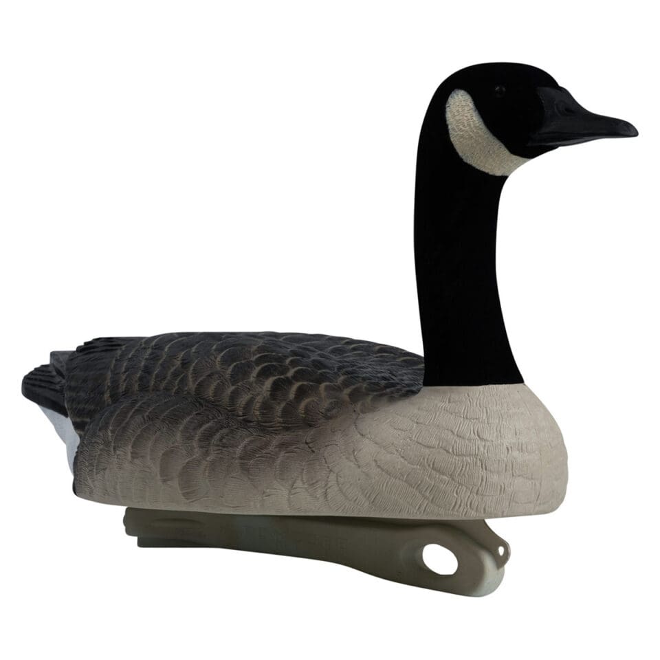 Rugged Series Canada Goose Floaters Touchdown Decoys - Flocked Head 6 ...