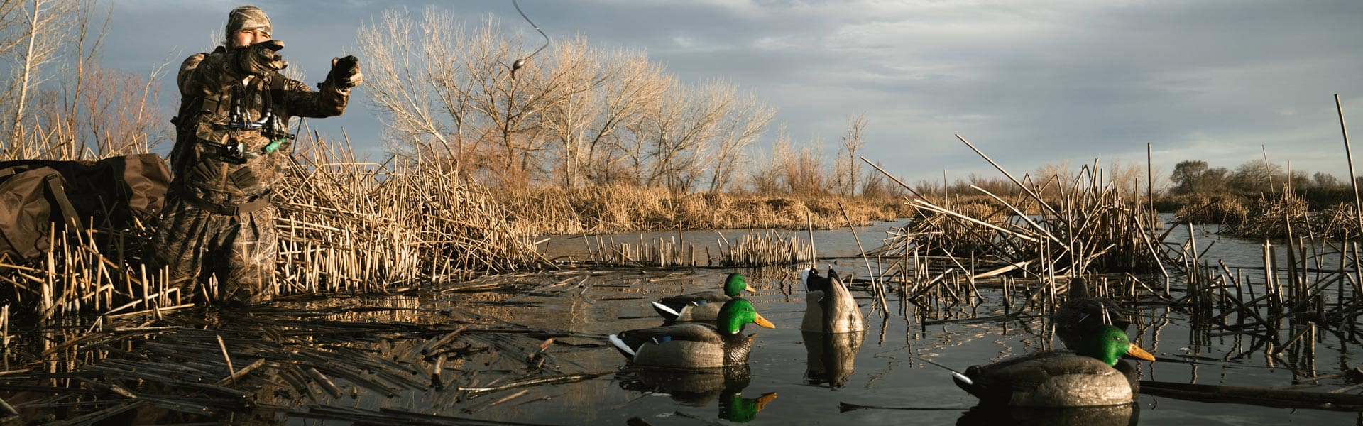 Mallards | Hardcore™ Waterfowl